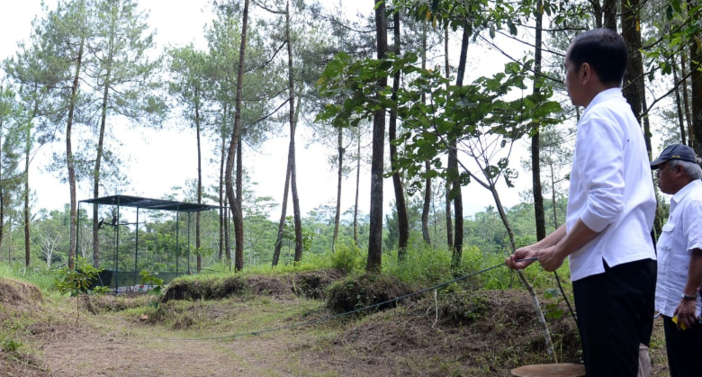 Jokowi Lepaskan Satu Pasang Elang Jawa di TNGM Untuk Jaga Kelestarian Habitat | Headline.co.id