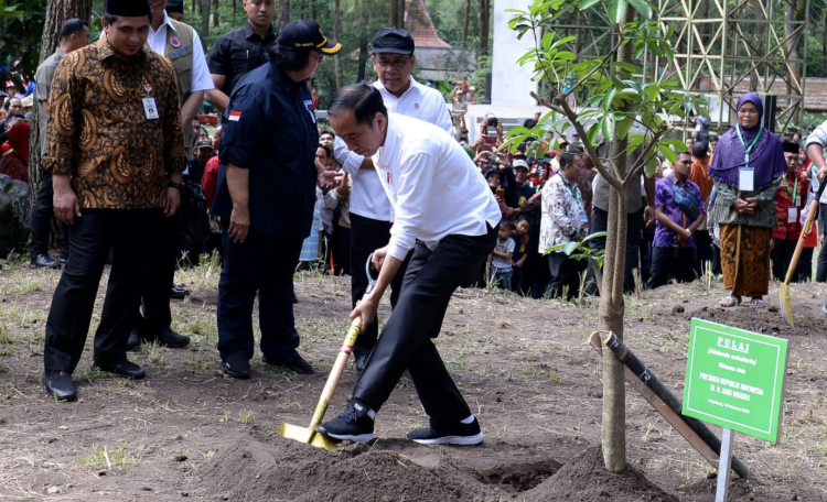 Sambangi Taman Nasional Gunung Merapi, Presiden Dorong Upaya Pelestarian Lingkungan | Headline.co.id
