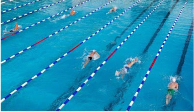 Macam-Macam Gaya Renang, Penjelasan Posisi Badan dan Cara Melakukannya ...